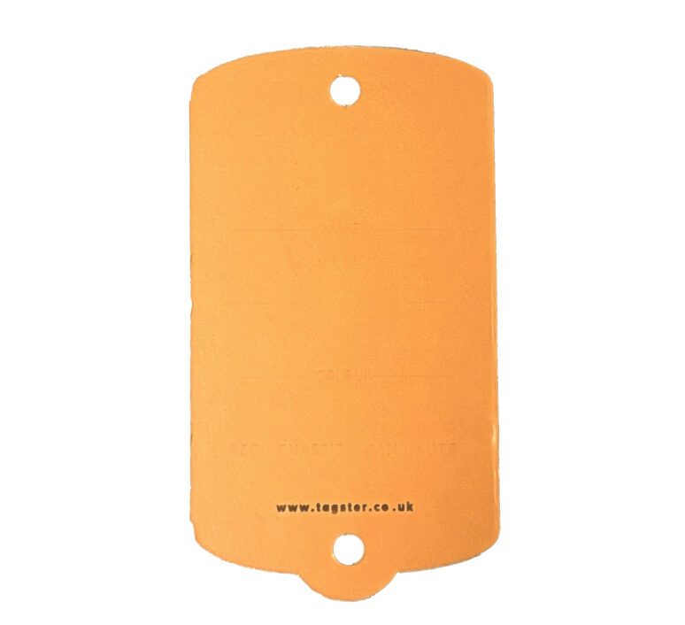 NEW! Large Eco Tags™ - 200 plain unprinted tags WITHOUT RINGS - Tagster Ltd